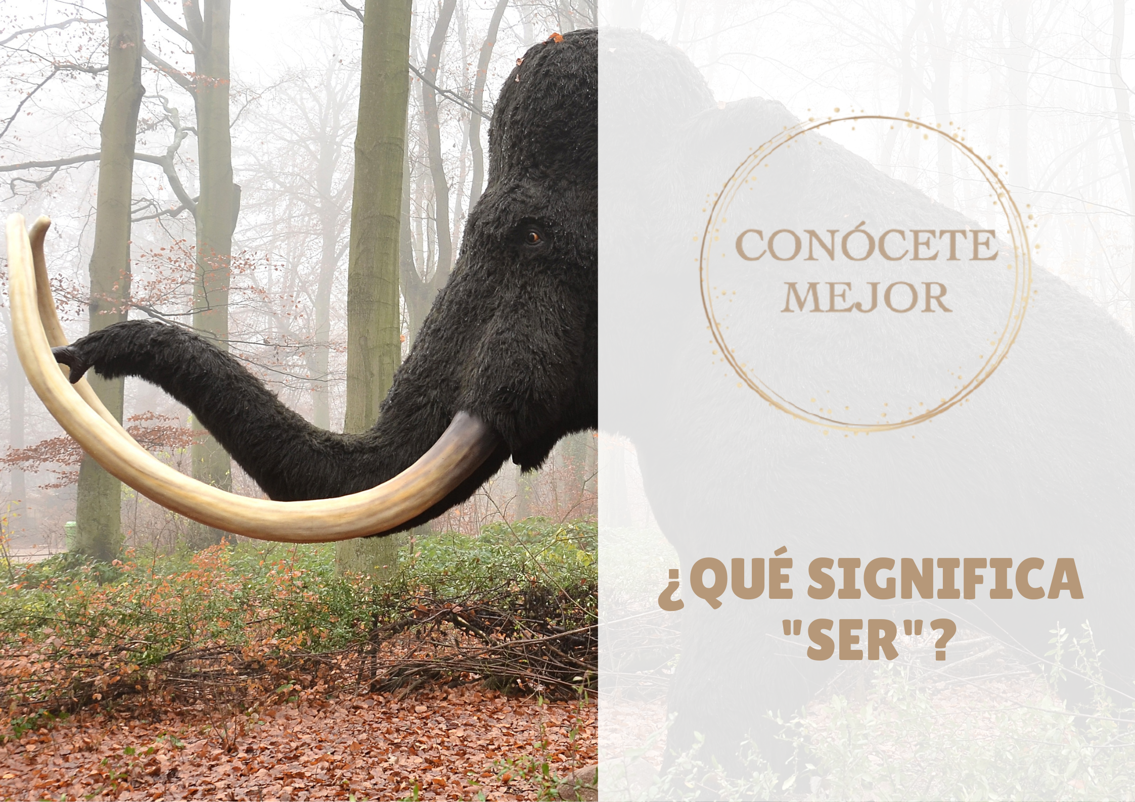 ¿Qué significa «ser»? – Conócete Mejor